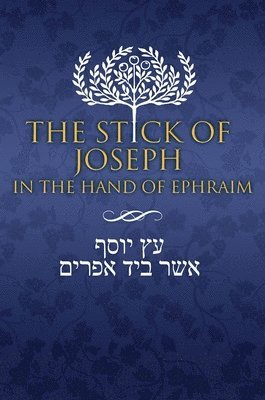 Stick of Joseph in the Hand of Ephraim - Bok (9781951168612) | Bokus