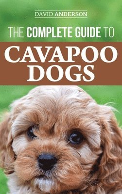 Complete Guide to Cavapoo Dogs - David Anderson - Bok (9781952069635) | Bokus