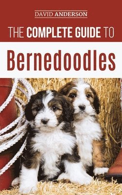 Complete Guide to Bernedoodles - David Anderson - Bok (9781952069642) | Bokus