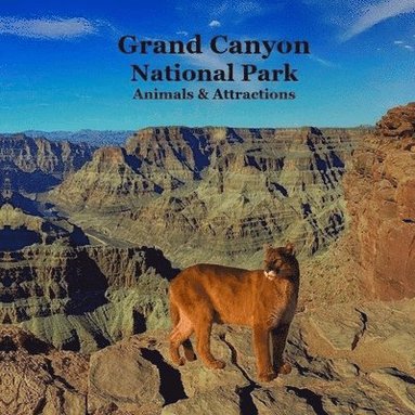 Grand Canyon Park Animals and Attractions Kids Book - Kinsey Marie ...