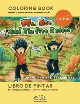 MS. BEE AND THE FIVE SENSES - SEÑORA BEE Y LOS CINCO SENTIDOS - English ...