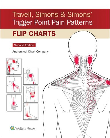 Travell, Simons & Simons' Trigger Point Pain Patterns Flip Charts ...