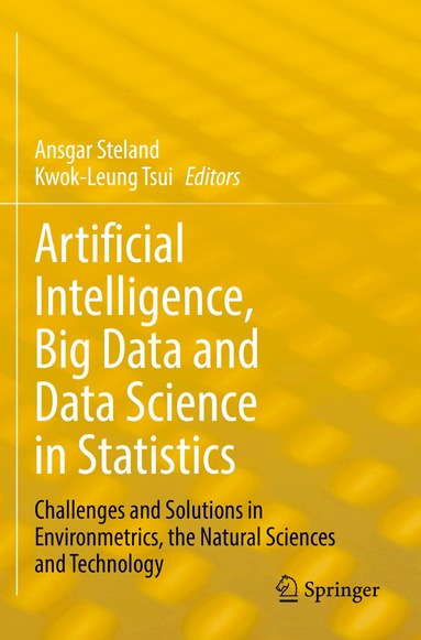 Artificial Intelligence, Big Data and Data Science in Statistics ...