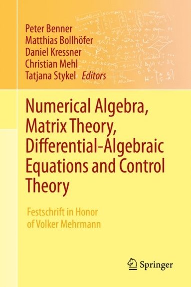 Numerical Algebra, Matrix Theory, Differential-Algebraic Equations and Control Theory - Ebok ...