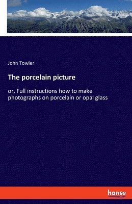 porcelain picture - John Towler - Häftad (9783348071369) | Bokus