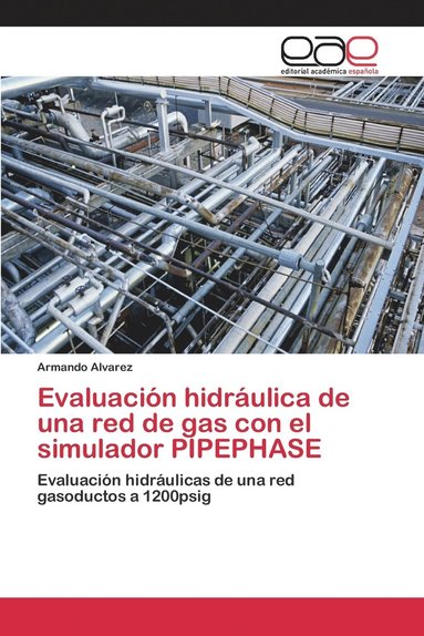 Evaluacin hidrulica de una red de gas con el simulador PIPEPHASE ...