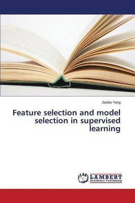 Feature selection and model selection in supervised learning - Yang Jianbo - Häftad ...