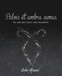 Pulvis et umbra sumus - Ebok - Erfan Rezaei (9783748789604) | Bokus