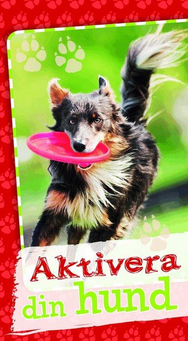 Aktivera din hund - Jennifer Willms - Häftad (9783869415239) | Bokus