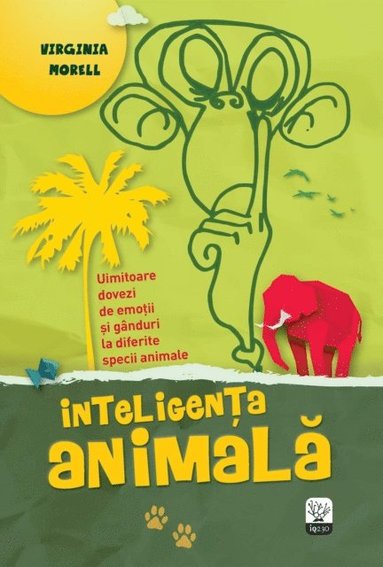 Inteligen?a animal?. Uimitoare dovezi de emo?ii ?i gÃ¢nduri la diferite ...