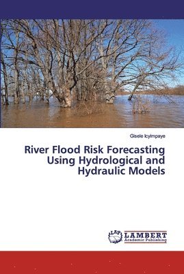 River Flood Risk Forecasting Using Hydrological and Hydraulic Models - Gisele Icyimpaye - Häftad ...