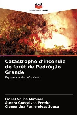 Catastrophe d'incendie de foret de Pedrogao Grande - Isabel Sousa ...