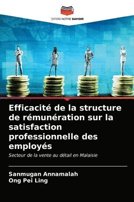 Efficacit de la structure de rmunration sur la satisfaction professionnelle des employs ...