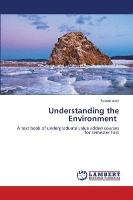 Understanding the Environment - Tavsar Wani - Häftad (9786205510087) | Bokus