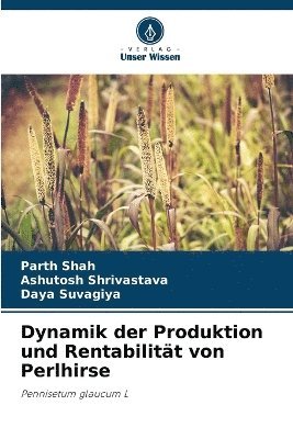 Dynamik der Produktion und Rentabilität von Perlhirse - Parth Shah ...