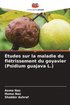 Études sur la maladie du flétrissement du goyavier (Psidium guajava L ...
