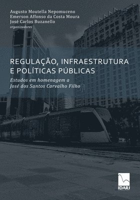 Regulação, Infraestrutura E Políticas Públicas - Emerson Affonso Da ...