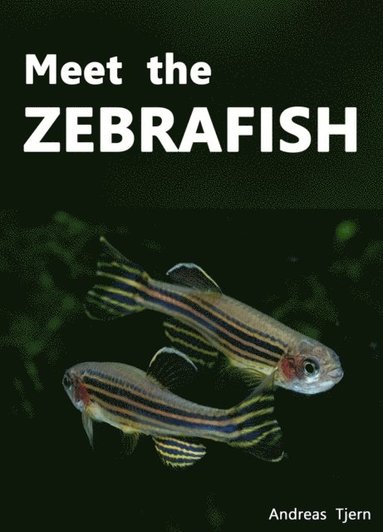 Meet the Zebrafish. A Short Guide to Keeping, Breeding and ...