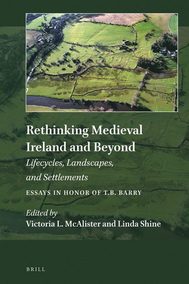 Rethinking Medieval Ireland and Beyond - Victoria L Mcalister - Bok ...