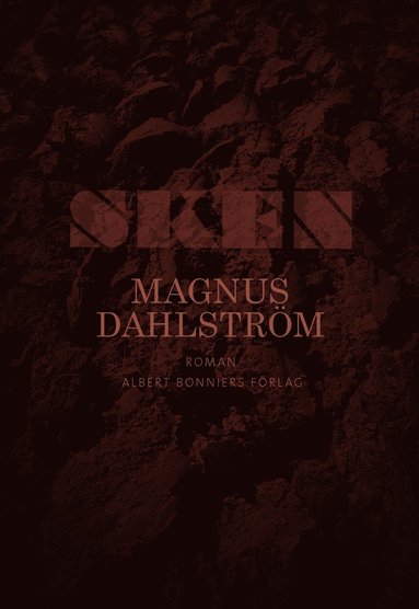 Sken - Ebok - Magnus Dahlström (9789100130244) | Bokus