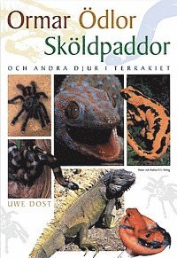 Ormar, Ödlor, Sköldpaddor Och Andra Djur I Terrariet - Uwe Dost - Bok ...