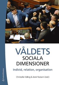 Våldets sociala dimensioner - Individ, relation, organisation ...