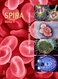 Spira Biologi B - Gunnar Björndahl, Johan Castenfors - Häftad (9789147019434) | Bokus