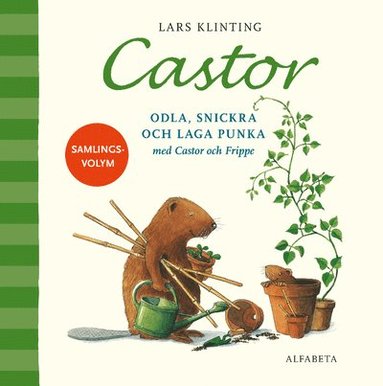 Castor. Odla, snickra och laga punka med Castor och Frippe - Lars ...