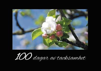 100 dagar av tacksamhet - Sigrid Carlsson - Bok (9789151955698) | Bokus
