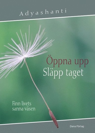 Öppna upp, släpp taget : finn livets sanna väsen - Adyashanti - Häftad ...