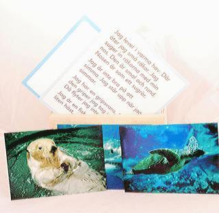 Spännande djur i vatten med hög låda - Kerstin Noläng, Malin Rindetoft ...