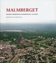 Malmberget : strukturella förändringar och kulturarvsprocesser : en ...