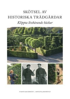 Skötsel av historiska trädgårdar : klippta lövbärande häckar - Sara ...