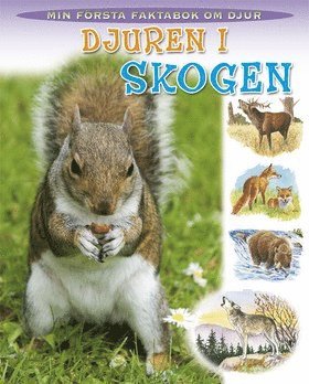Djuren i skogen - Geneviève De Becker - Kartonnage (9789173396981) | Bokus