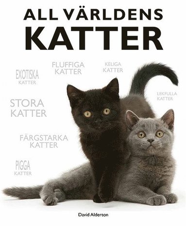 All världens katter - David Alderton - Bok (9789176170076) | Bokus