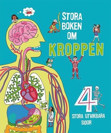 Stora boken om kroppen - Minna Lacey - Bok (9789176175040) | Bokus