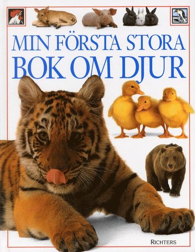 Min första stora bok om djur - Roger Priddy - Kartonnage (9789177071730 ...