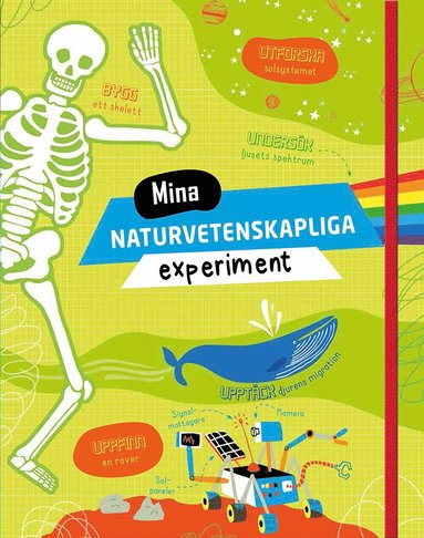 Mina naturvetenskapliga experiment - Alice James, Darran Stobbart - Bok ...