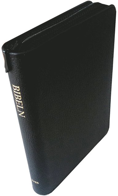Bibeln : gamla och nya testamentet - Bok (9789178667475) | Bokus