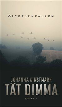 Tät dimma - Johanna Ginstmark - Pocket | Bokus