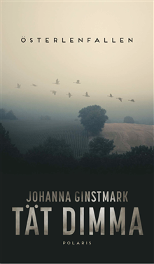 Tät dimma - Johanna Ginstmark - Pocket | Bokus