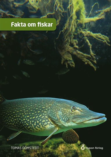 Fakta om fiskar - Ebok - Tomas Dömstedt (9789180771115) | Bokus
