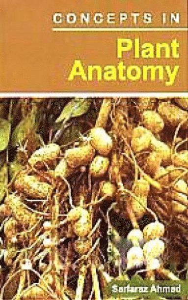 Concepts In Plant Anatomy - Ebok - Sarfaraz Ahmad (9789353146177) | Bokus
