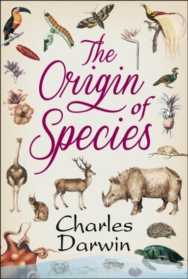 Origin of Species - Ebok - Charles Darwin (9789389157628) | Bokus