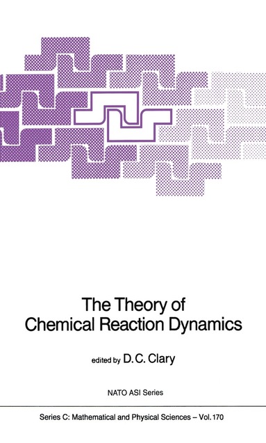 Theory of Chemical Reaction Dynamics - D C Clary, D C Clary - Häftad (9789401085526) | Bokus