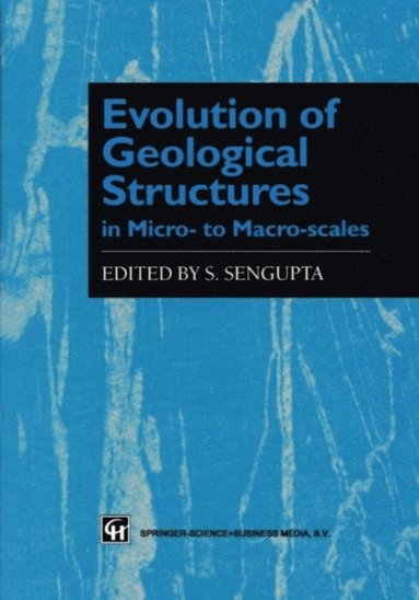 Evolution of Geological Structures in Micro- to Macro-scales - Ebok - S ...