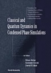Classical And Quantum Dynamics In Condensed Phase Simulations: Proceedings Of The International ...