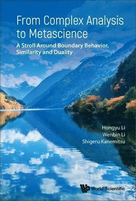From Complex Analysis To Metascience: A Stroll Around Boundary Behavior, Similarity And Duality ...