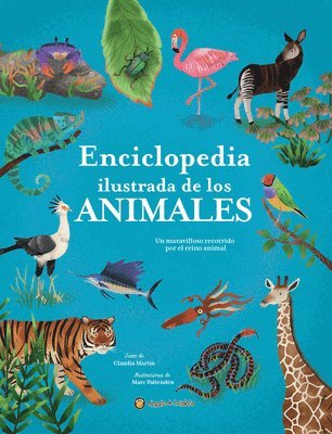 Enciclopedia Ilustrada de Los Animales: Un Maravilloso Recorrido Por El ...