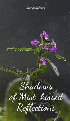 Shadows of Mist-kissed Reflections - Kätriin Kaldaru - Bok ...
